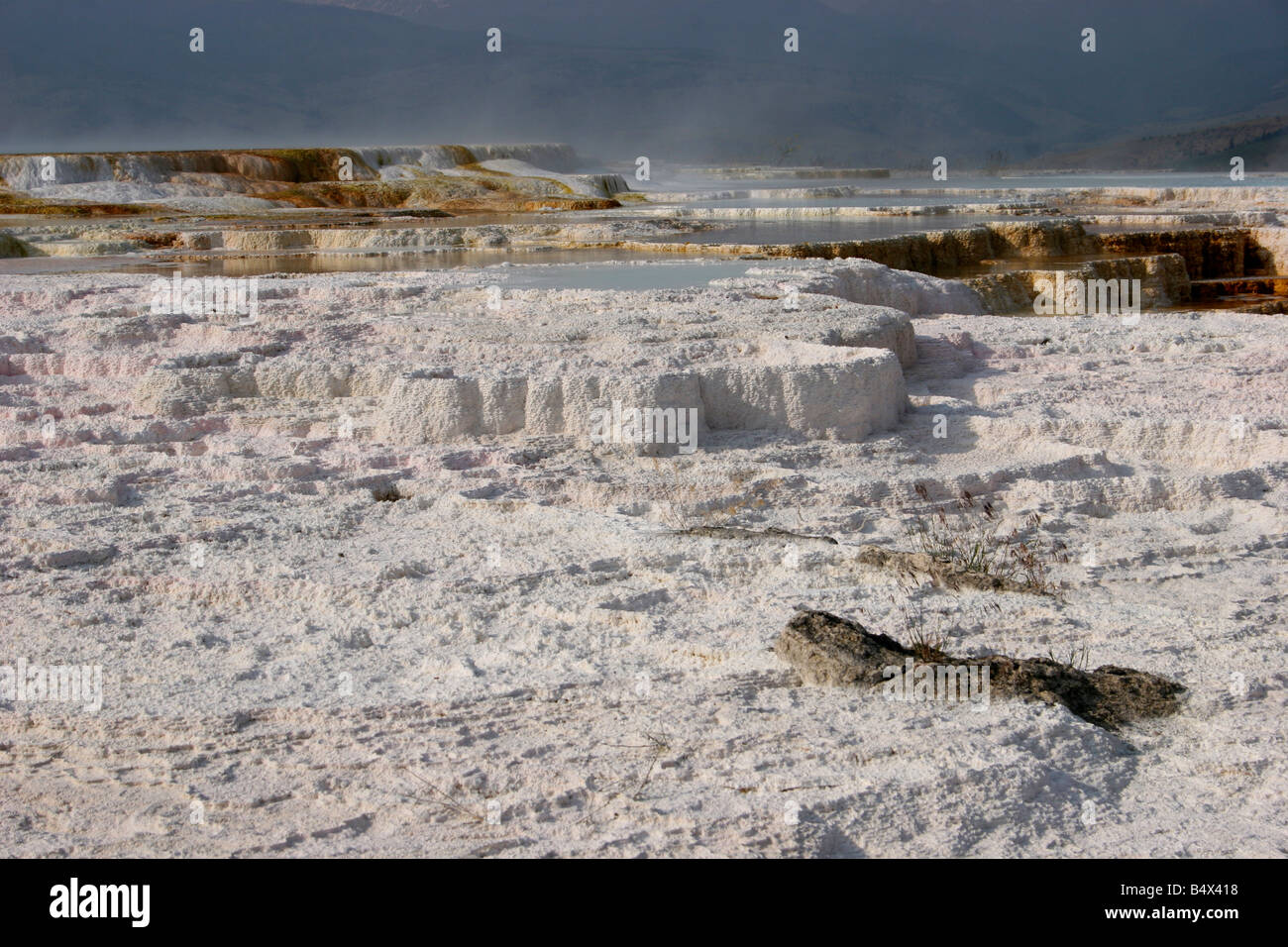 Travertine terraces at Mammoth Hot Springs Yellowstone Park in July ...