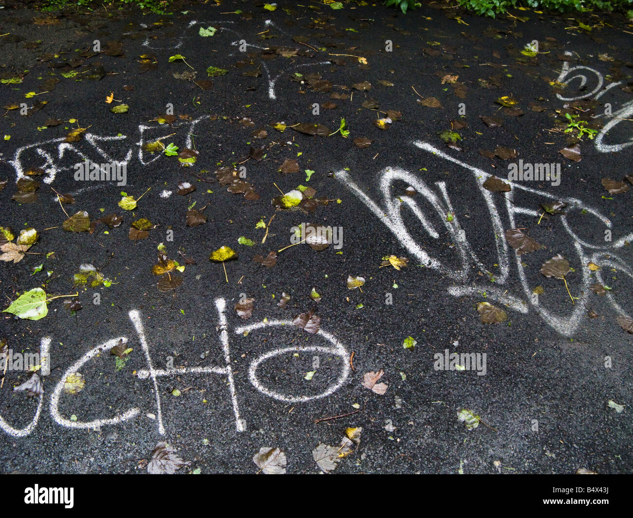 Graffiti on ground with leaves Stock Photo - Alamy