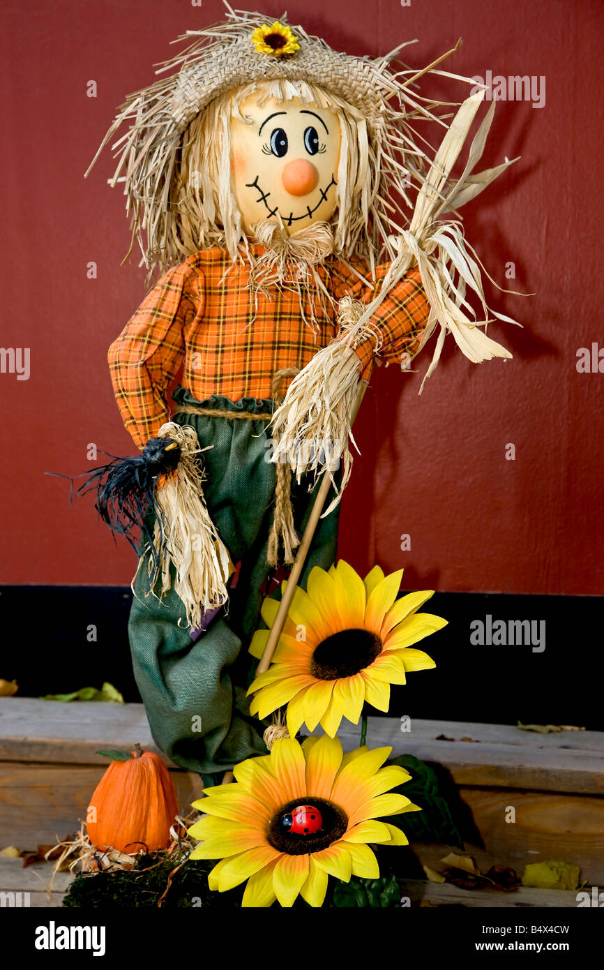 Sunflower scarecrow hi-res stock photography and images - Alamy