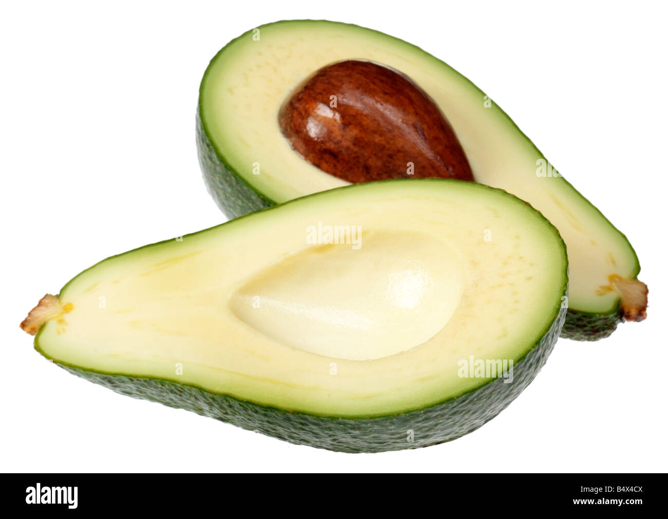 Fuerte avocado hi-res stock photography and images - Alamy