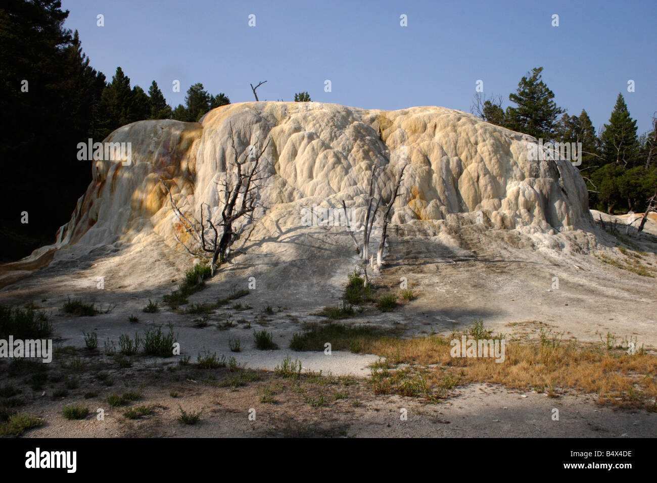 Mound springs hi-res stock photography and images - Alamy