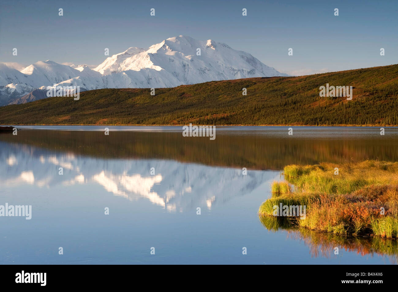 Mount Mckinley from Wonder Lake, Denali National Park, Alaska Stock ...