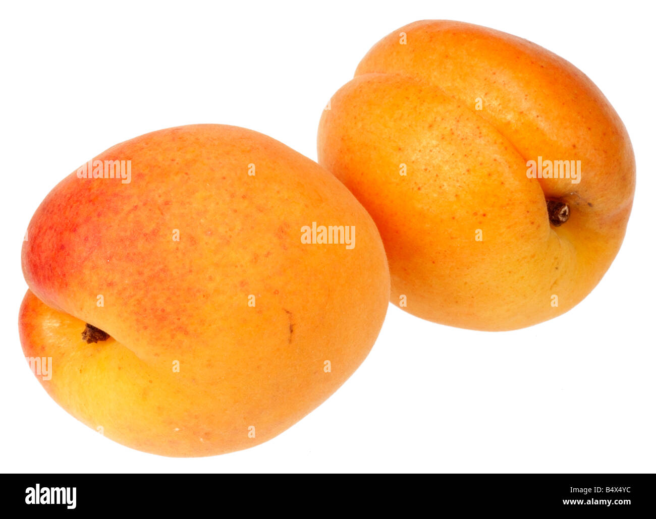 Two whole apricots hi-res stock photography and images - Alamy