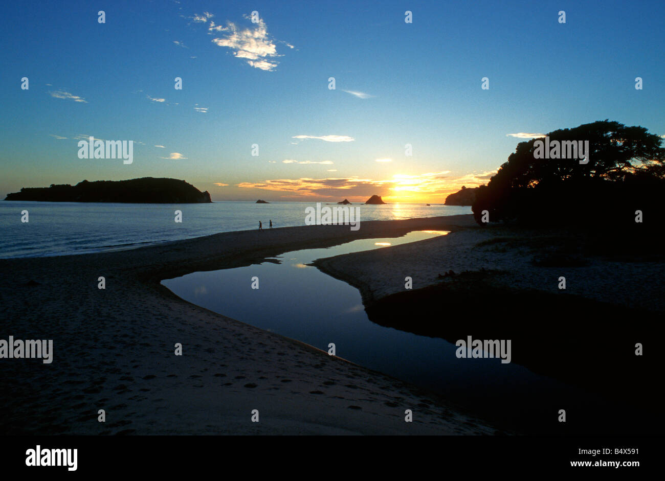New Zealand Coromandel Hahei Beach sunset North Island Stock Photo - Alamy