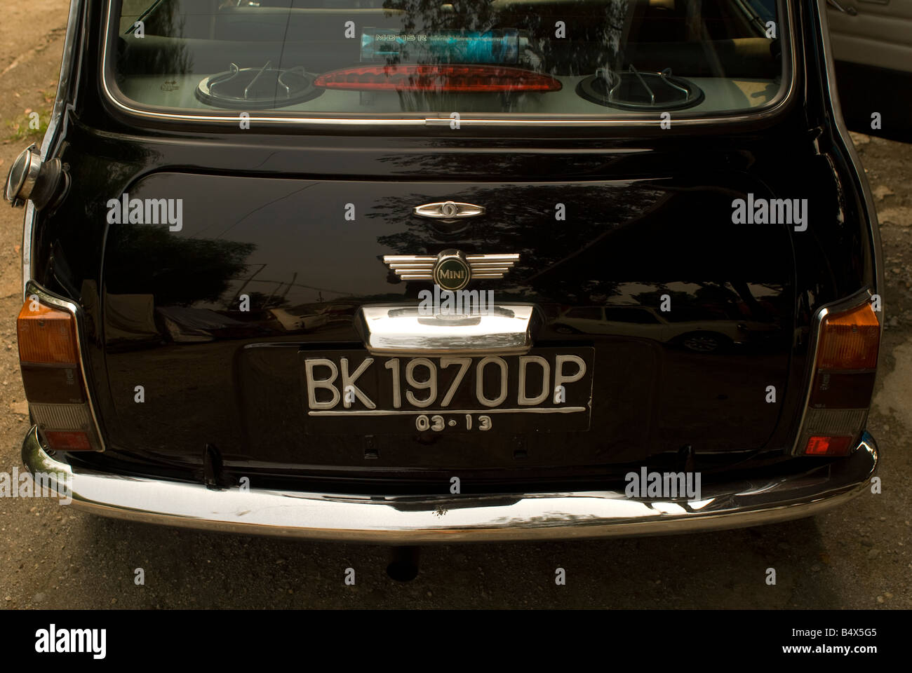 Copper back hi-res stock photography and images - Alamy