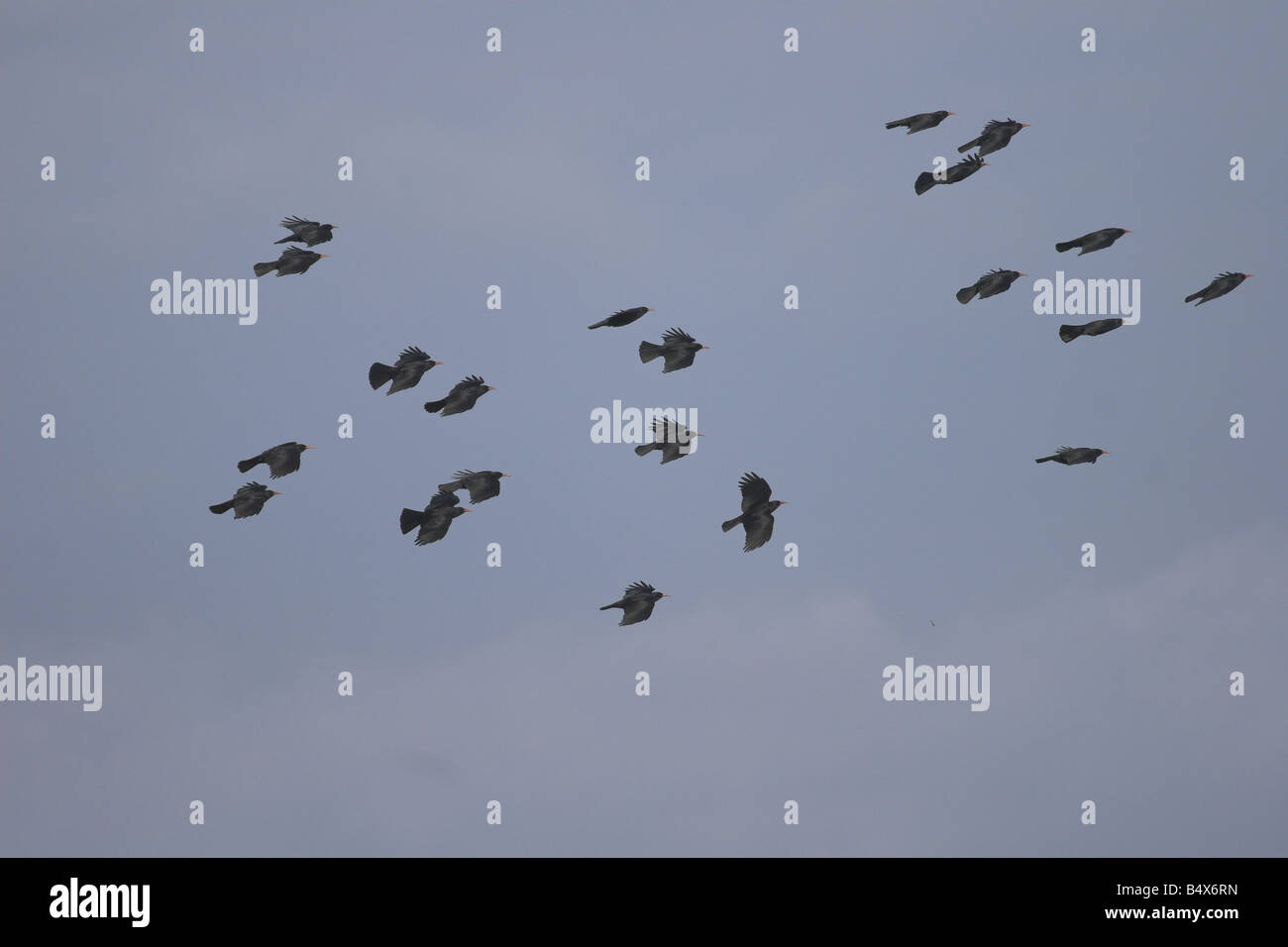 Ardnave point islay hi-res stock photography and images - Alamy