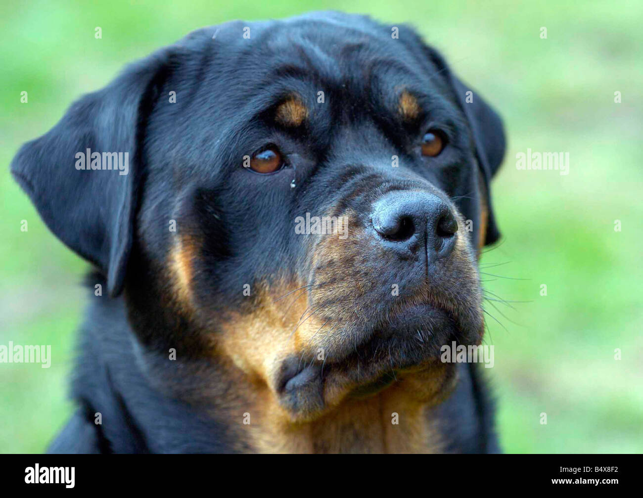 Core5 High Resolution Stock Photography and Images - Alamy