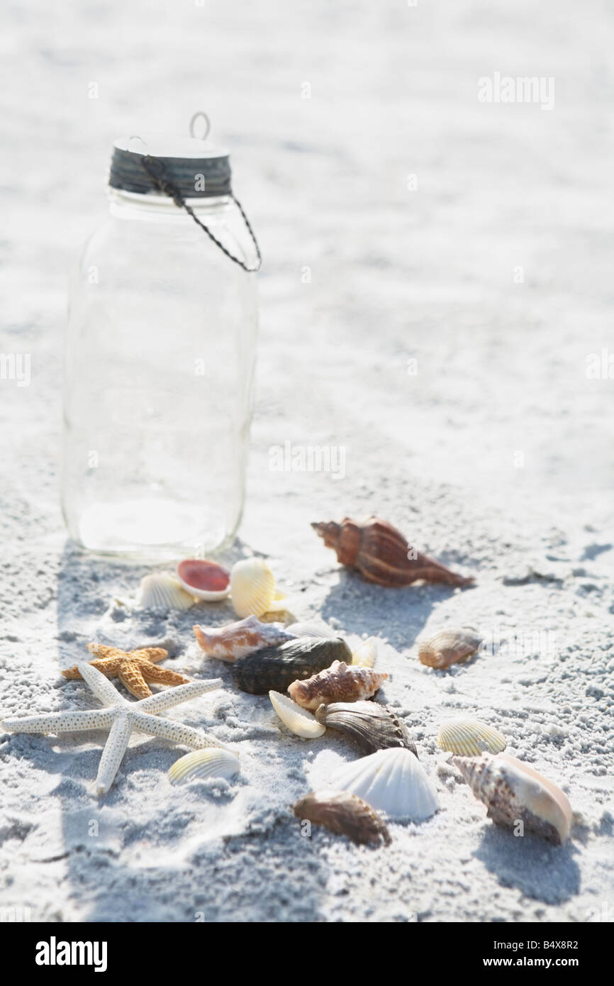 Starfish collection hi-res stock photography and images - Alamy
