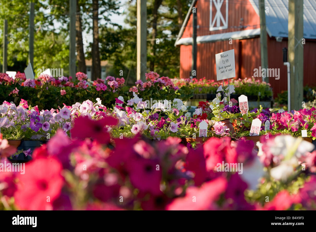 Nursery flats hi-res stock photography and images - Alamy