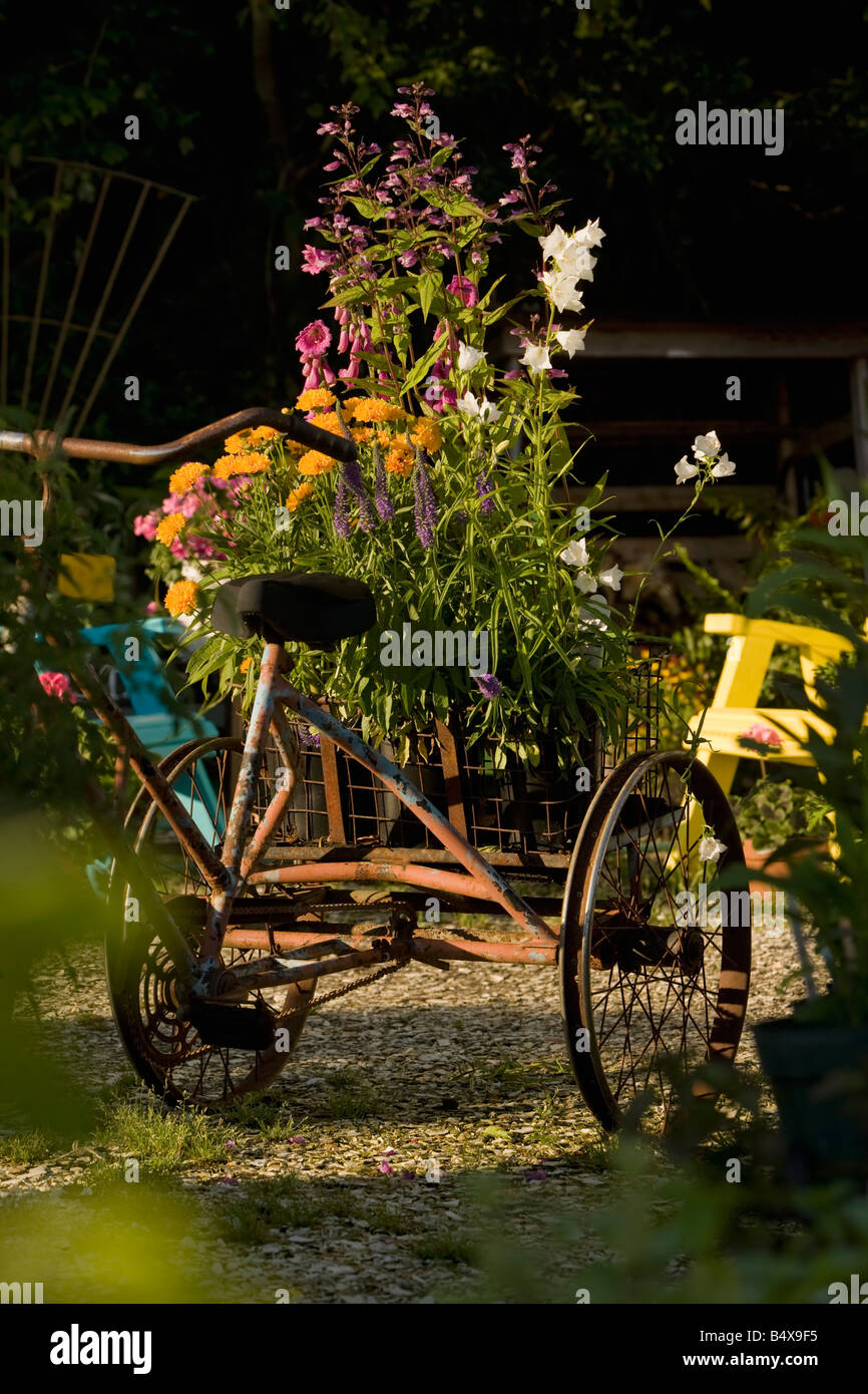 Antique tricycle carrying fresh flowers Stock Photo - Alamy