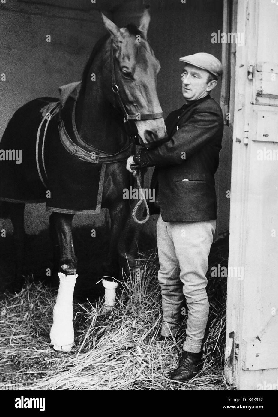 Arkle with his leg in plaster in his stable at Kempton Dec 1966 with ...