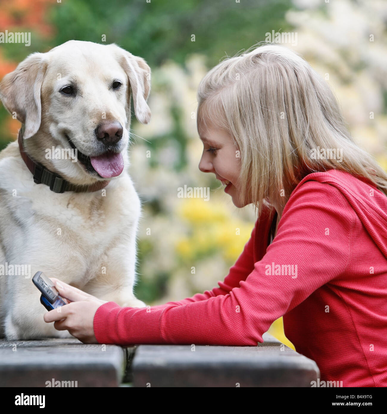 Dog watching girl use cell phone Stock Photo - Alamy