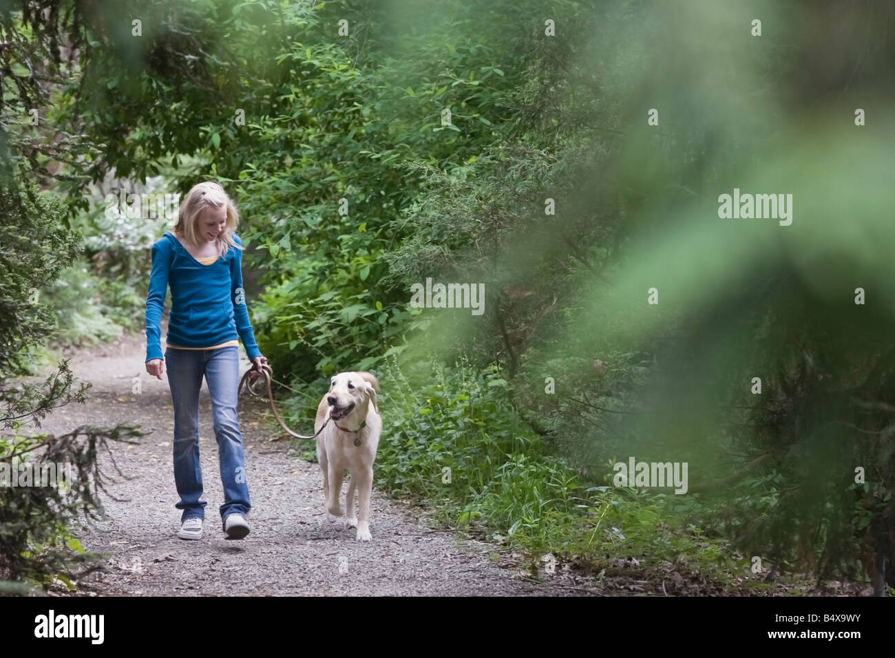 Girl walking dog on forest path Stock Photo - Alamy