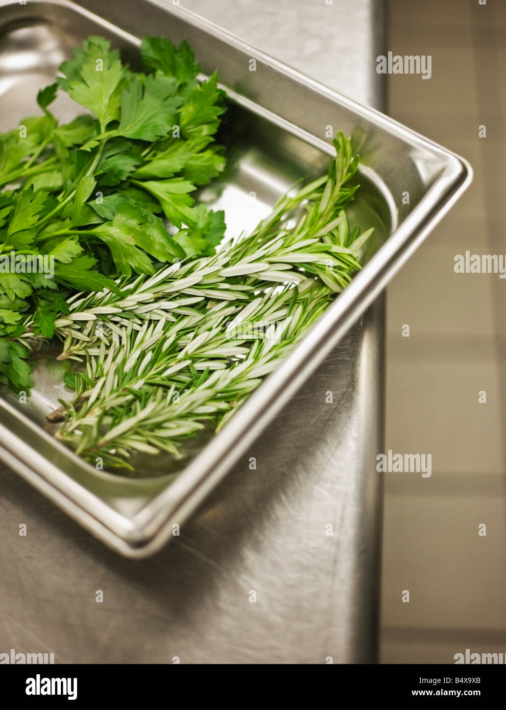 Assorted herbs in tray Stock Photo - Alamy