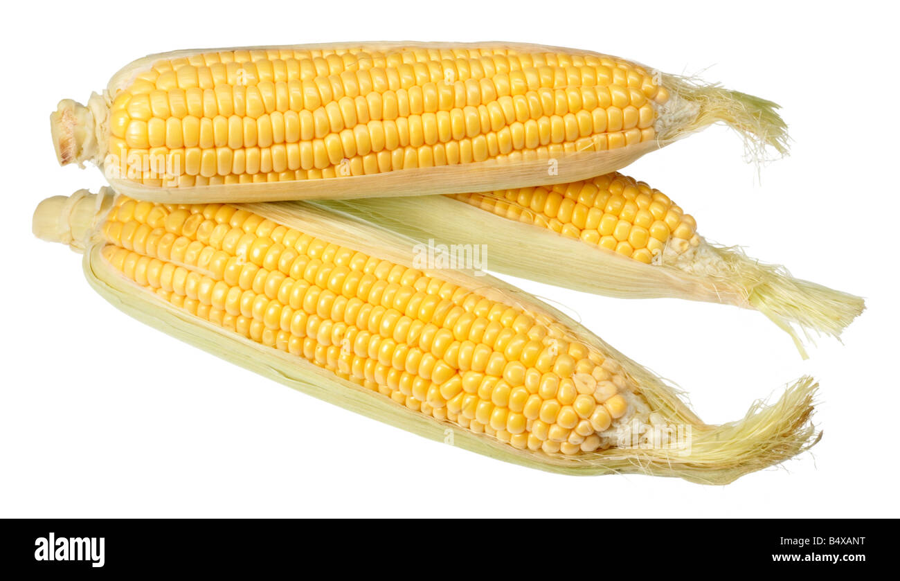 Three Ears Of Corn Cut Out Stock Images & Pictures - Alamy