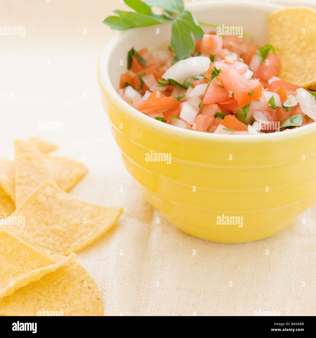 Close up of salsa and tortilla chips Stock Photo - Alamy