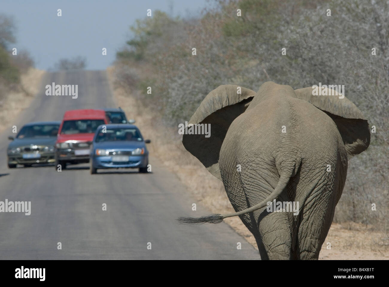 Stopping to watch hi-res stock photography and images - Alamy