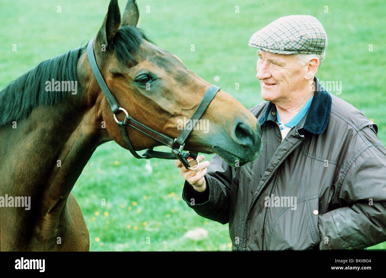 Red Rum racehorse 1990 Stock Photo - Alamy