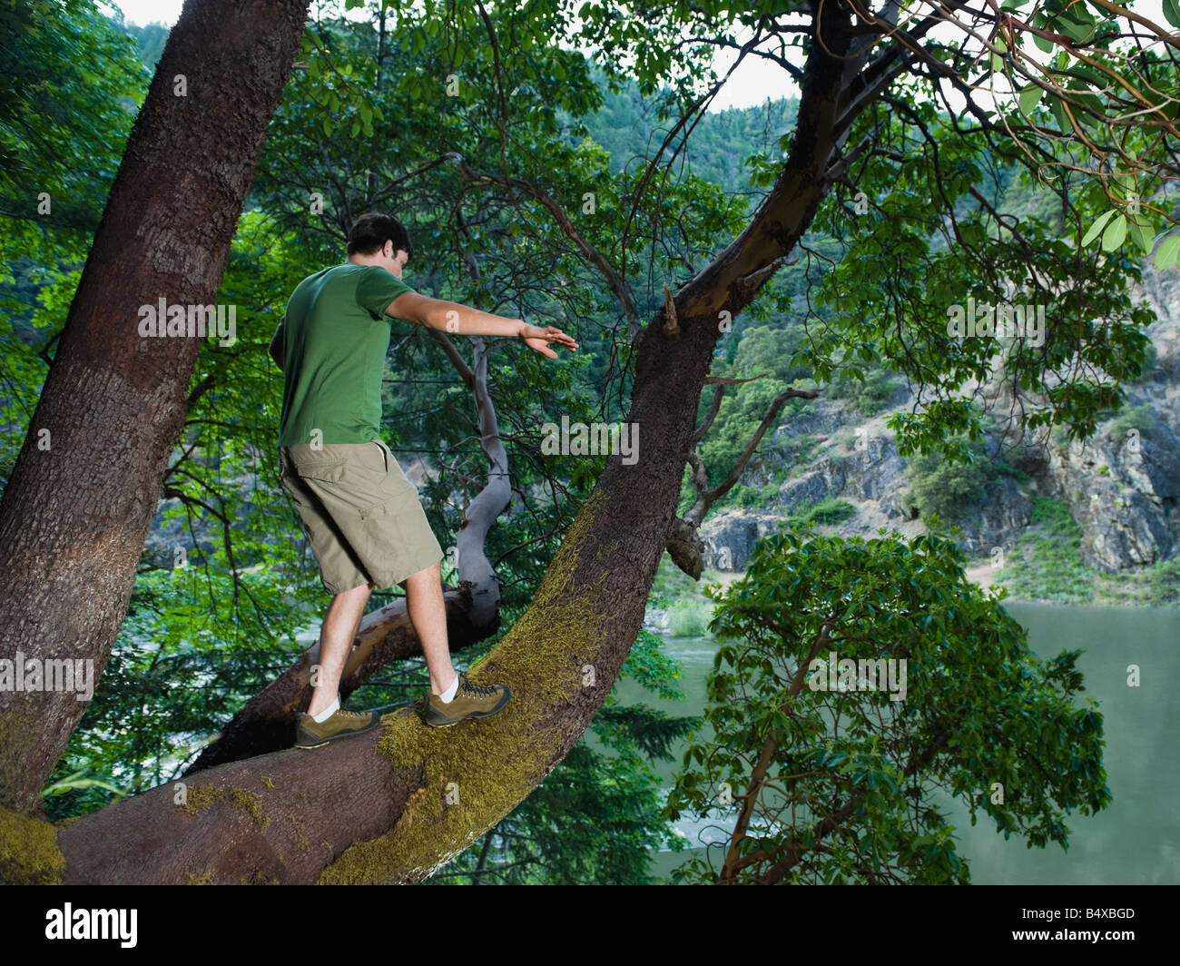 Tree climbing walking hi-res stock photography and images - Alamy