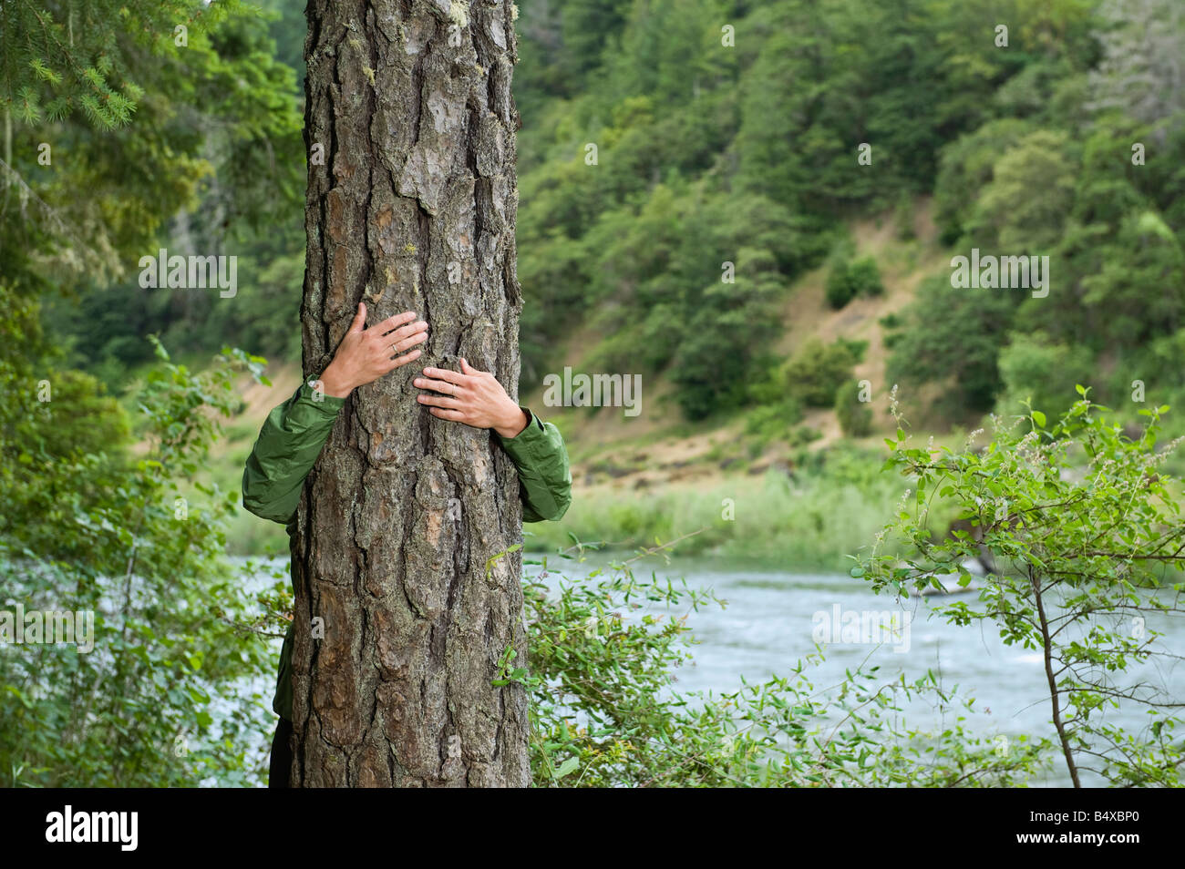 Hiker hugging tree Stock Photo - Alamy