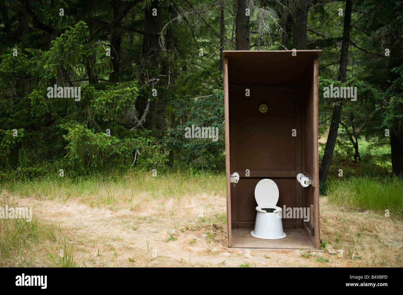 Outhouse in forest Stock Photo - Alamy