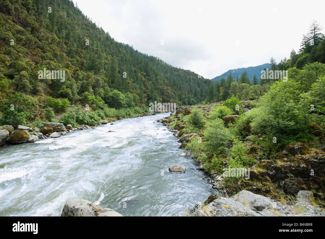 Forested view hi-res stock photography and images - Alamy