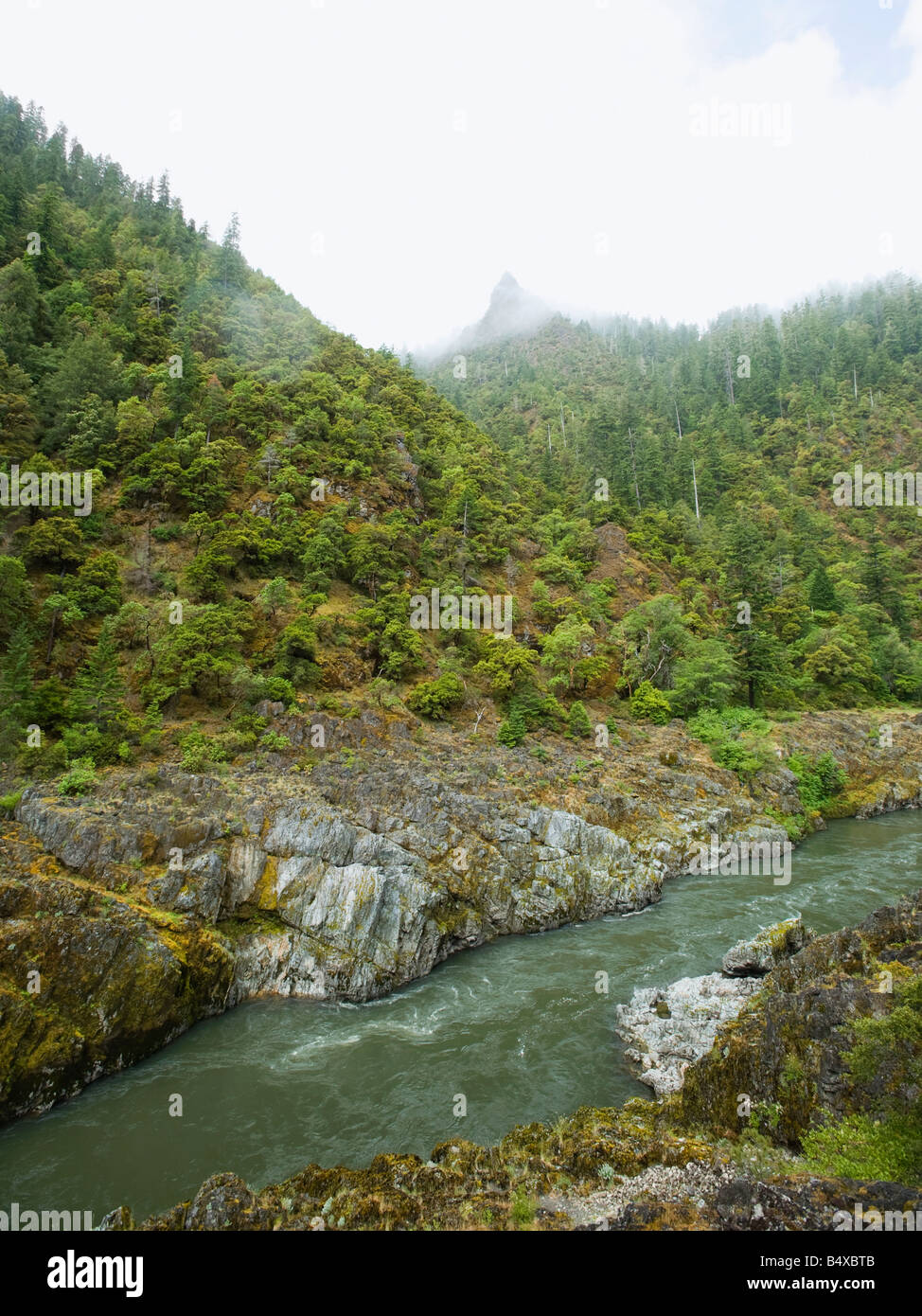 River running through forested canyon Stock Photo - Alamy
