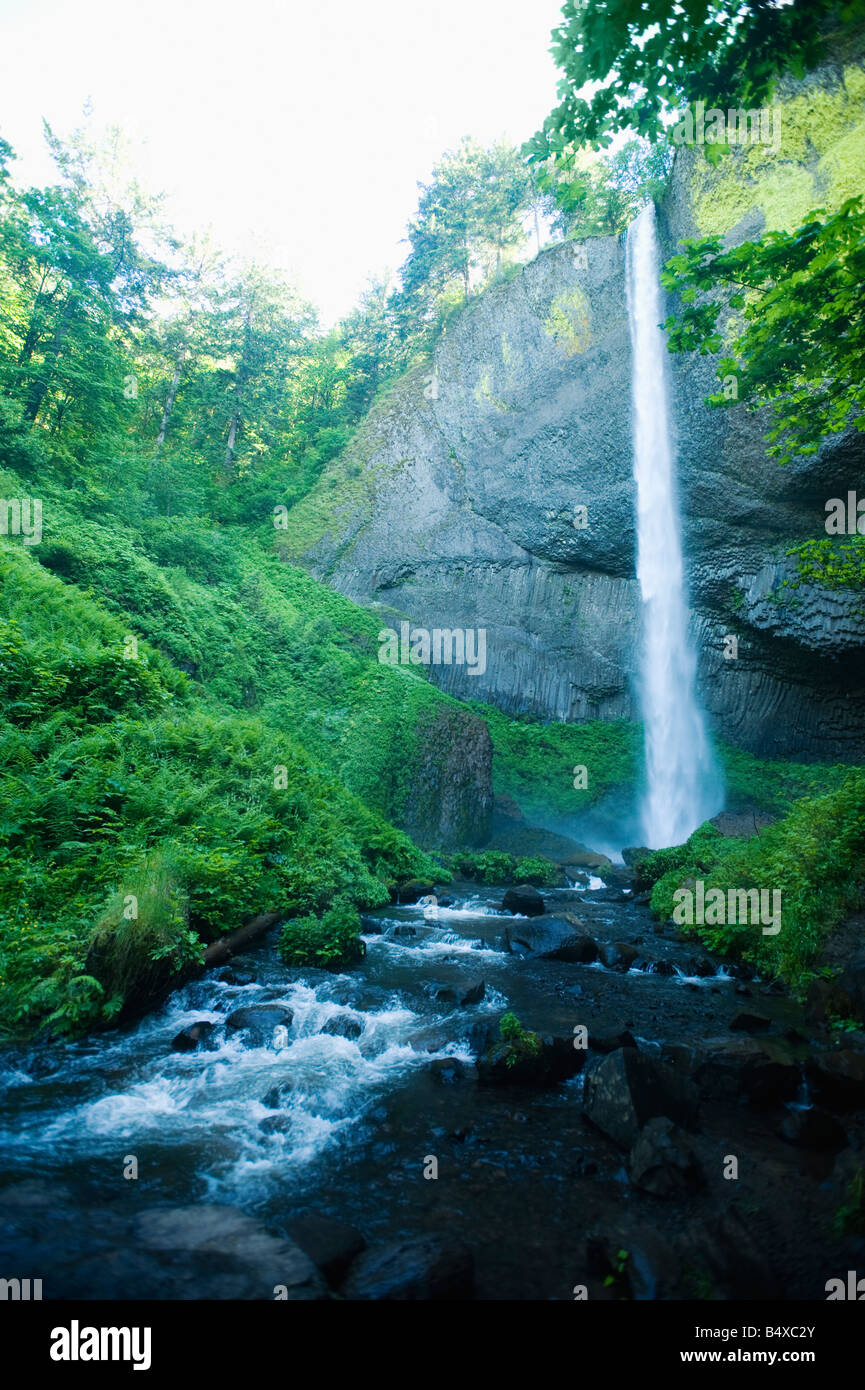 Lush canyon and waterfall Stock Photo - Alamy