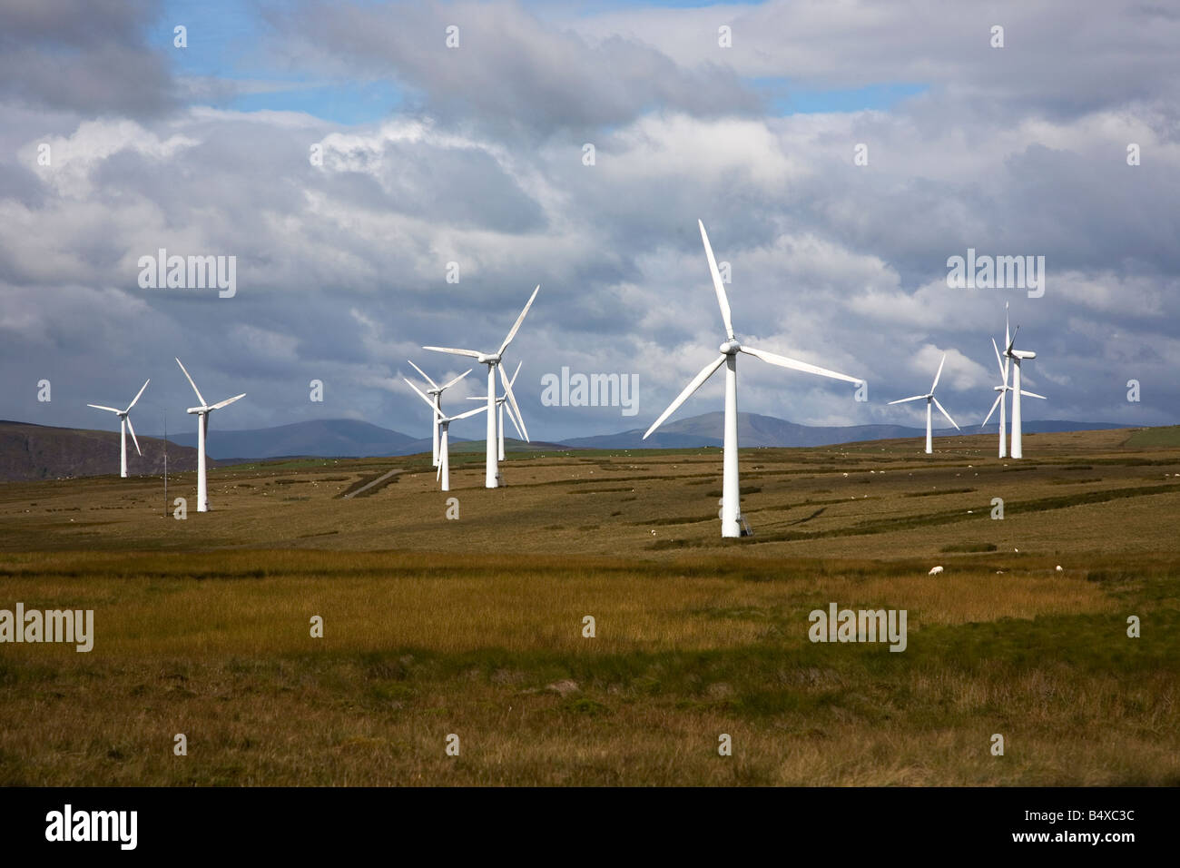 Wind power turbines at Carno wind farm producing electricity for part ...