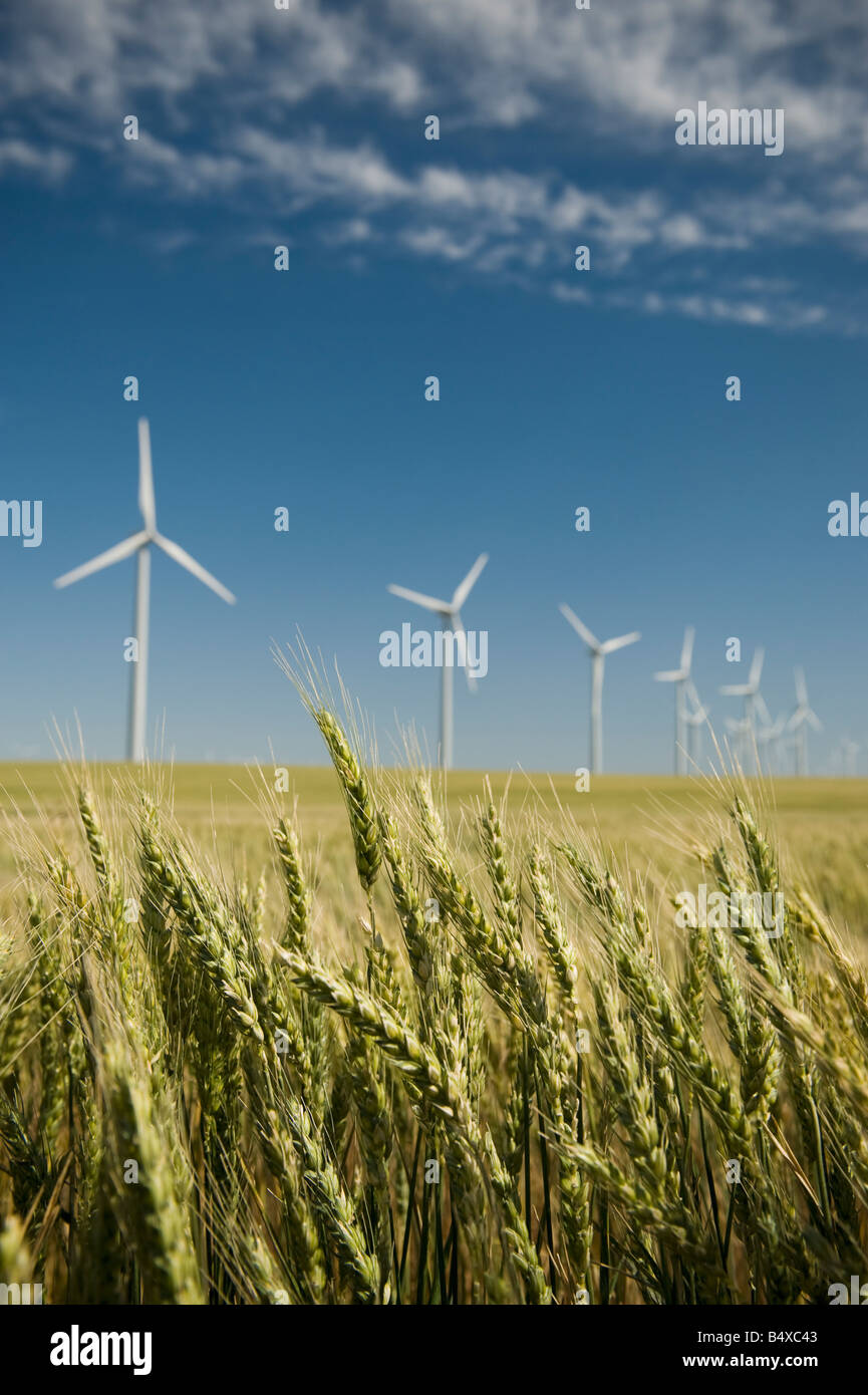 Windmills in a row on wind farm Stock Photo - Alamy