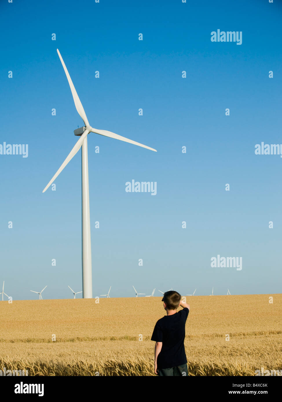 Boy looking at windmill on wind farm Stock Photo - Alamy