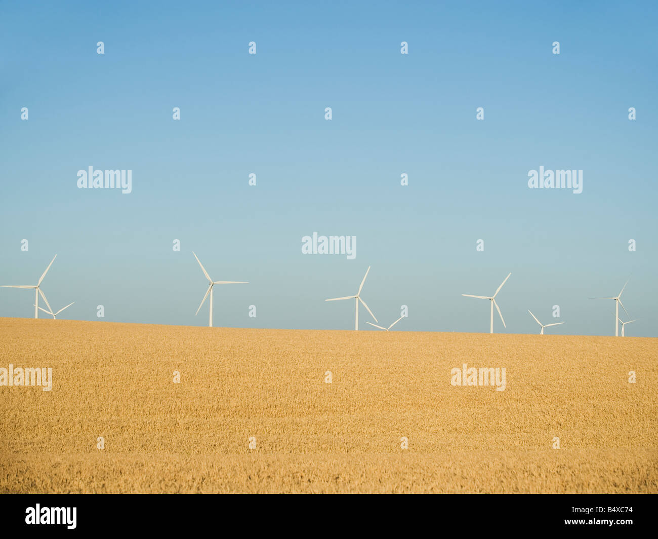 Row on windmills on wind farm Stock Photo - Alamy