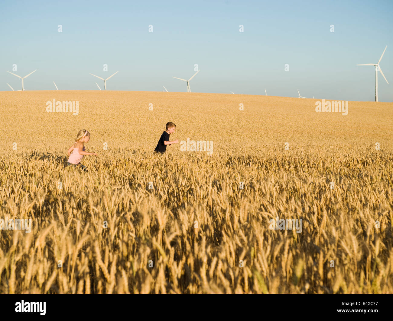 Children running through tall wheat field on wind farm Stock Photo - Alamy