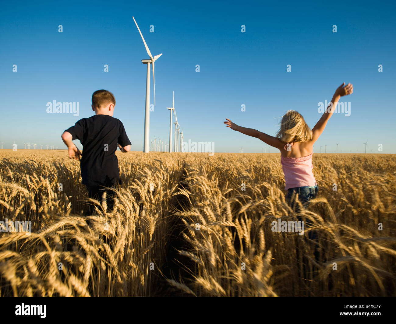 Children running through tall wheat field on wind farm Stock Photo - Alamy