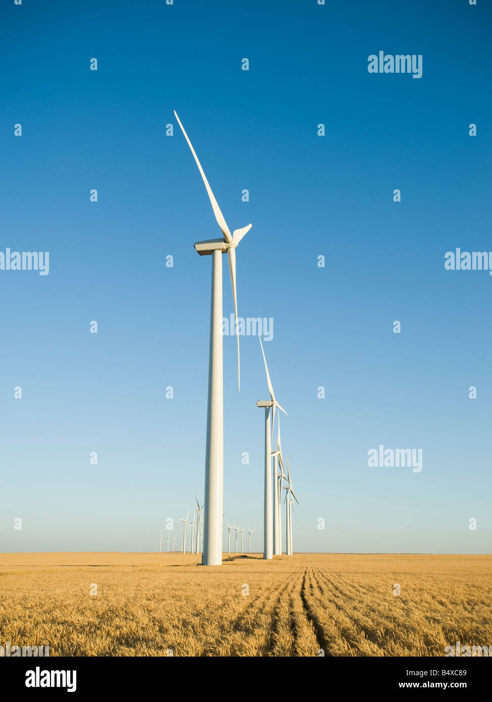 Row of windmills on wind farm Stock Photo - Alamy