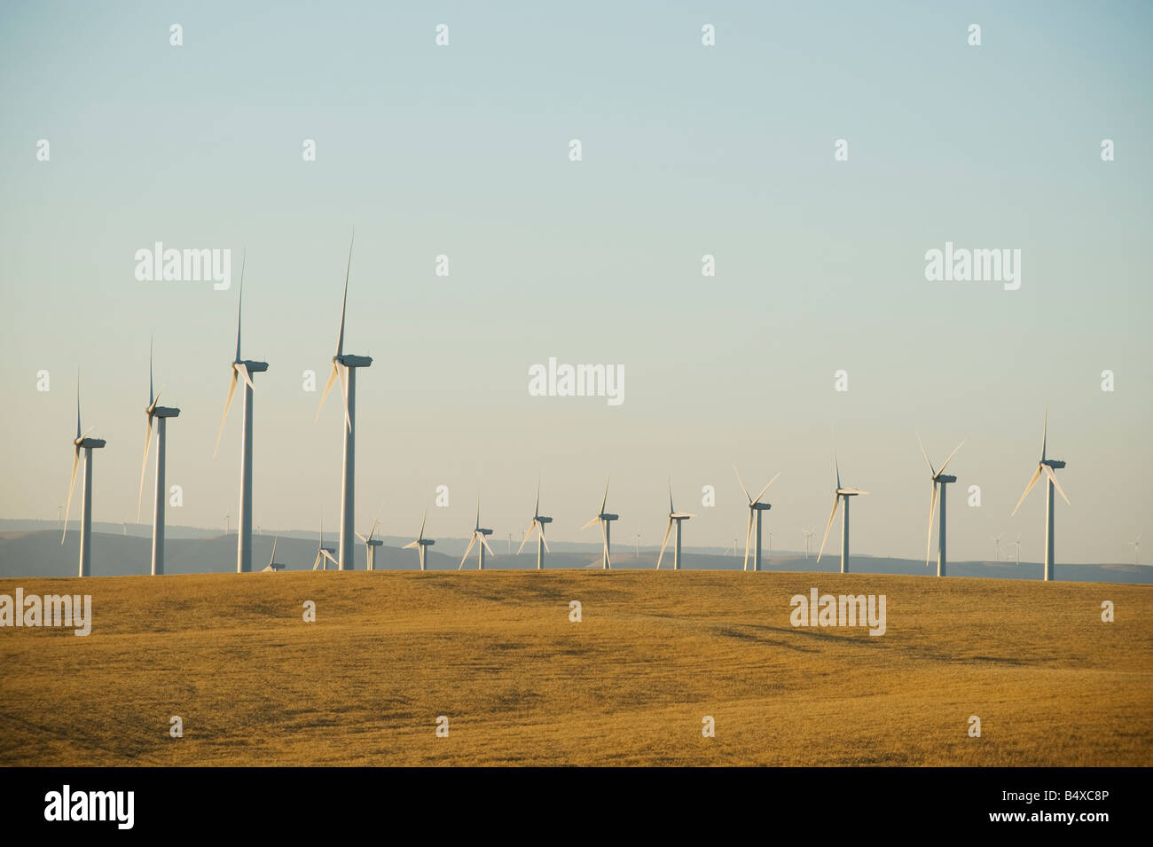 Rows of windmills on wind farm Stock Photo - Alamy