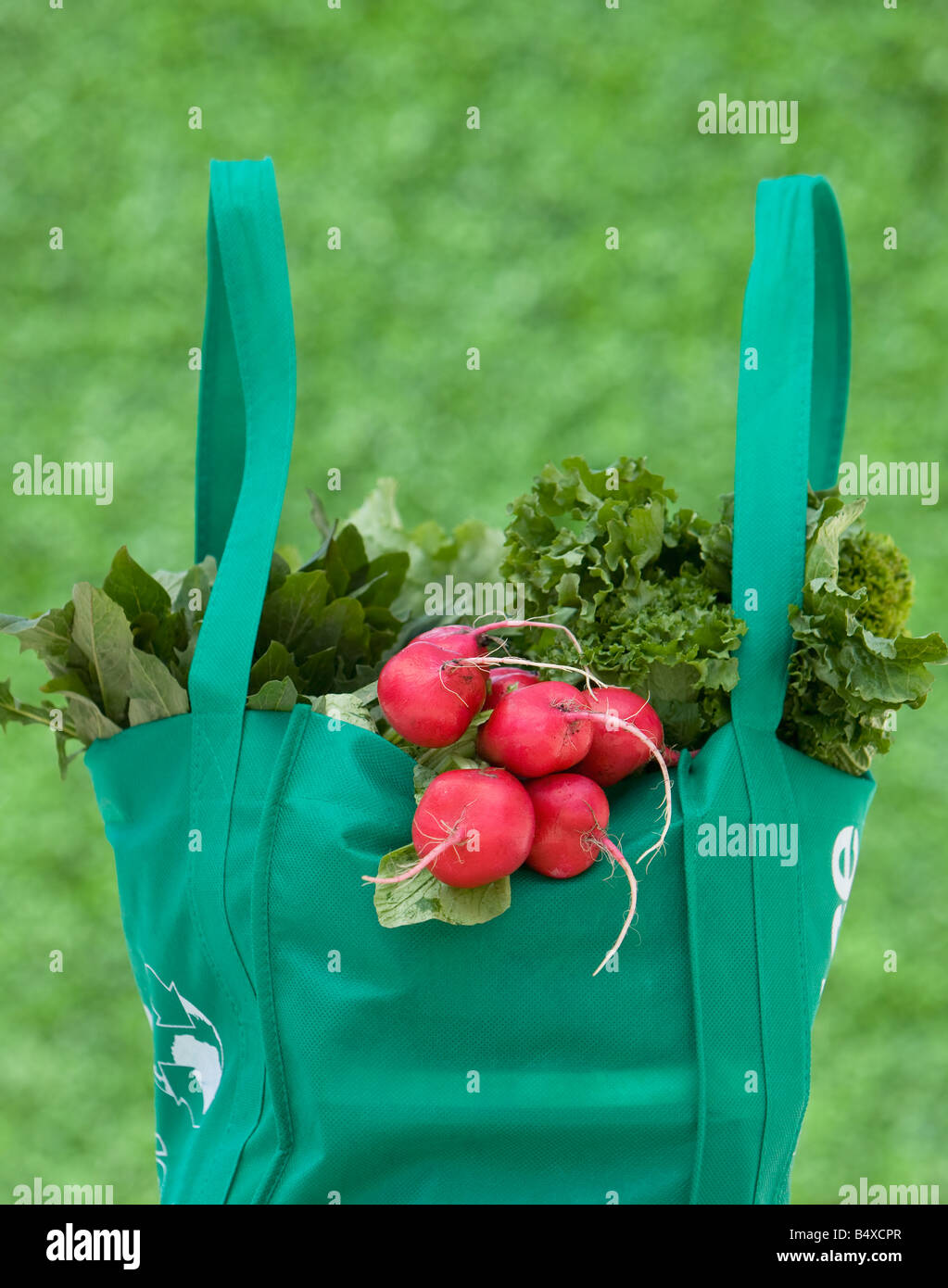Reusable grocery bag hi-res stock photography and images - Alamy