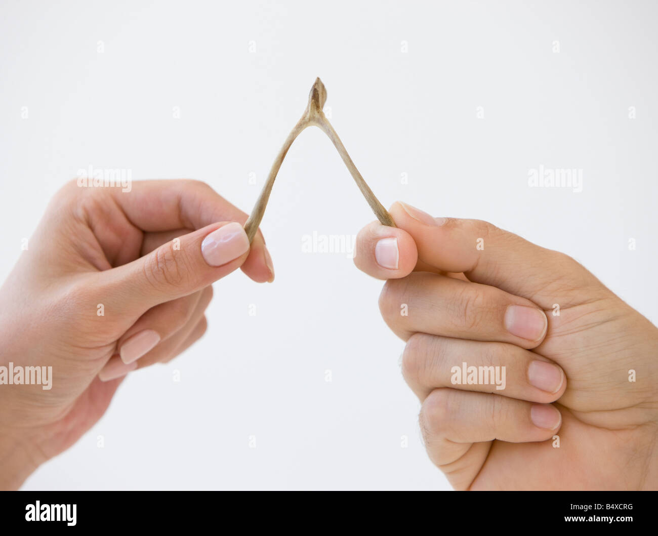 Close up of couple pulling wishbone Stock Photo - Alamy