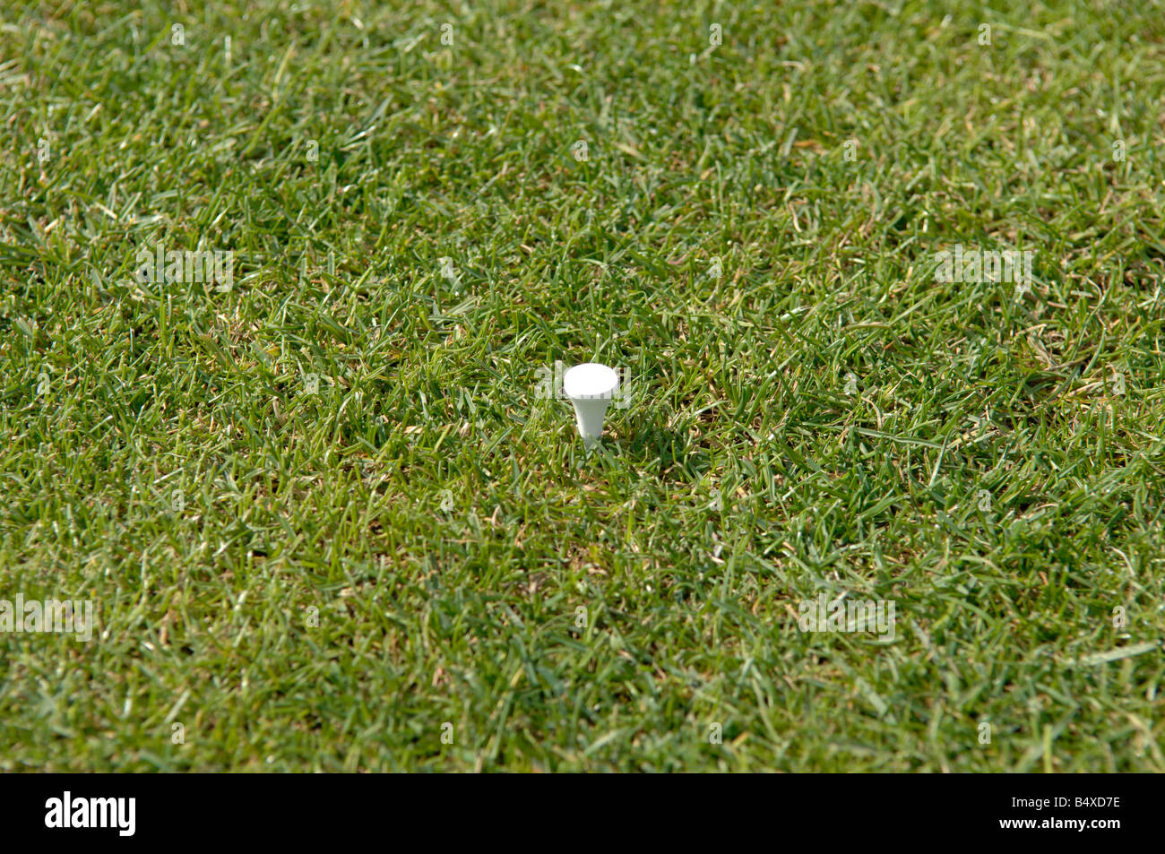 White golf tee hi-res stock photography and images - Alamy