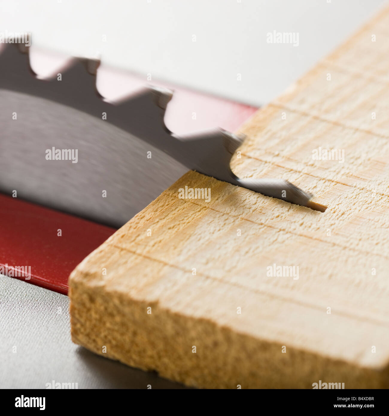 Close up of saw cutting wood Stock Photo - Alamy
