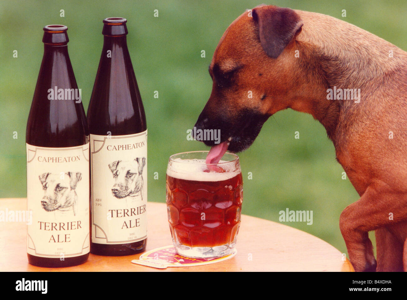 1990s taste hi-res stock photography and images - Alamy