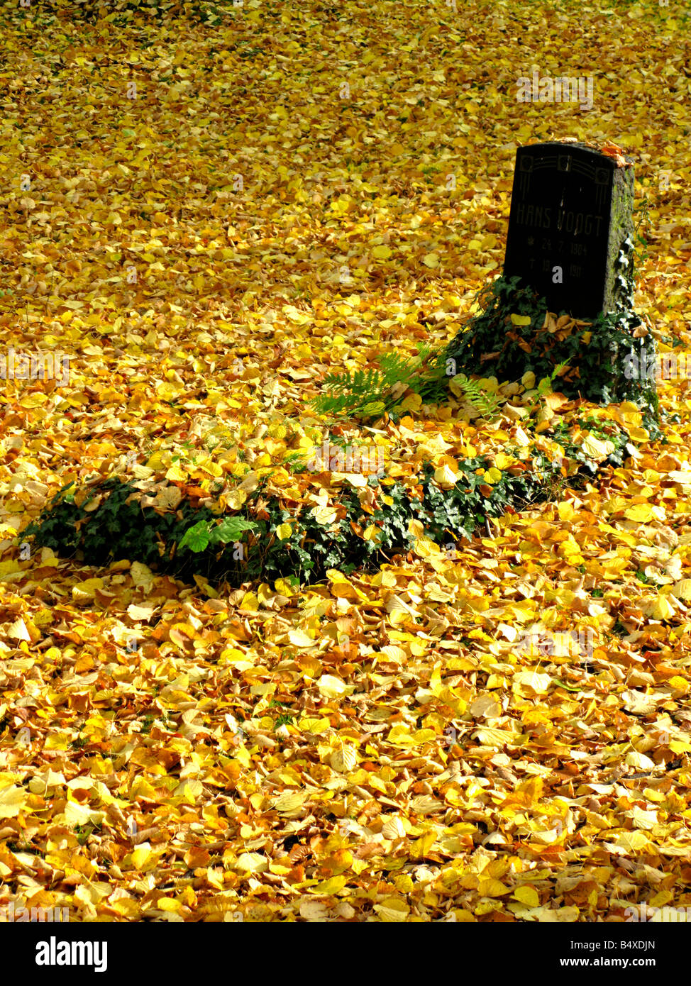 Grave covered by fallen leaves Stock Photo - Alamy
