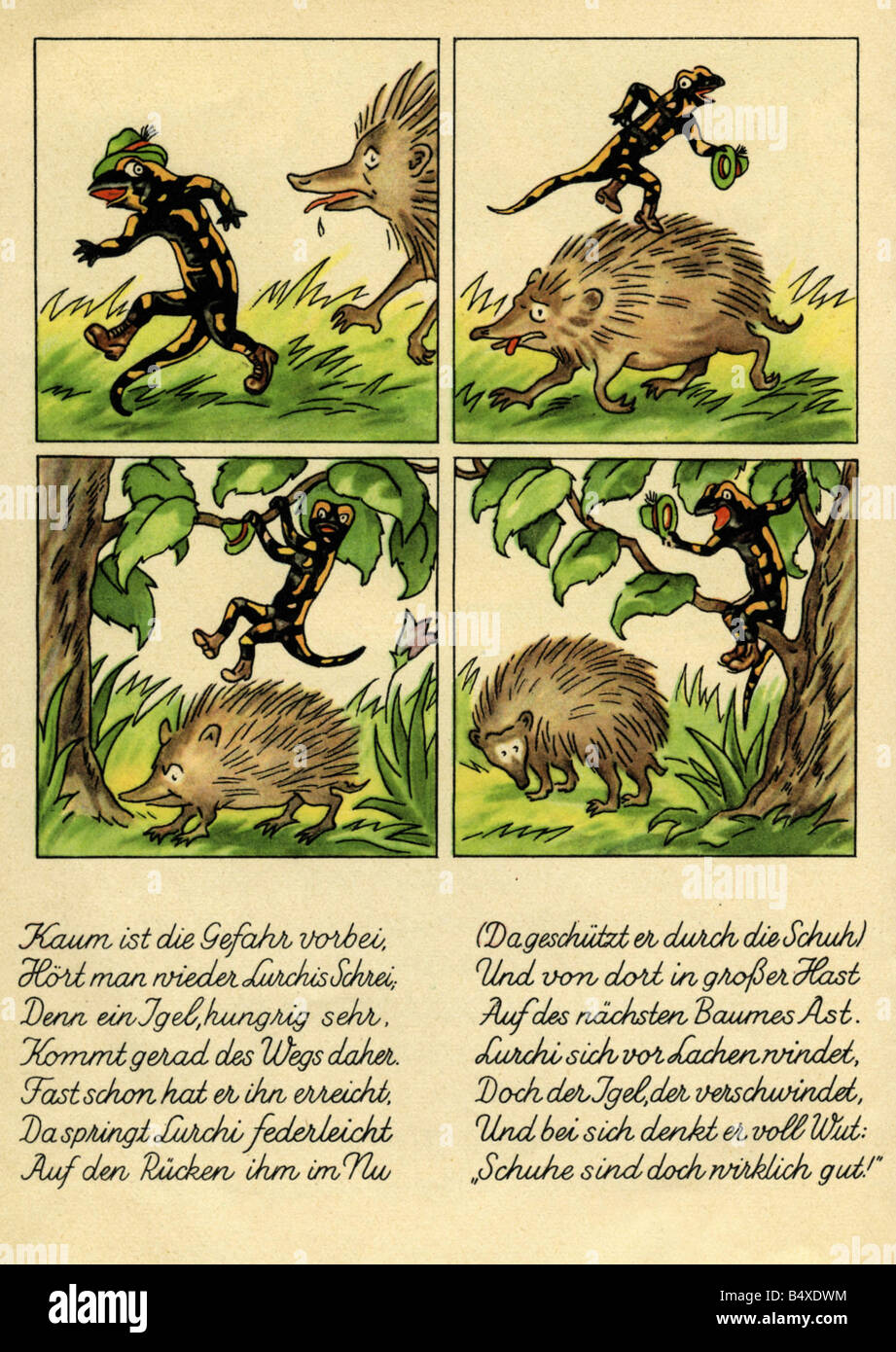 Lurchi hi-res stock photography and images - Alamy