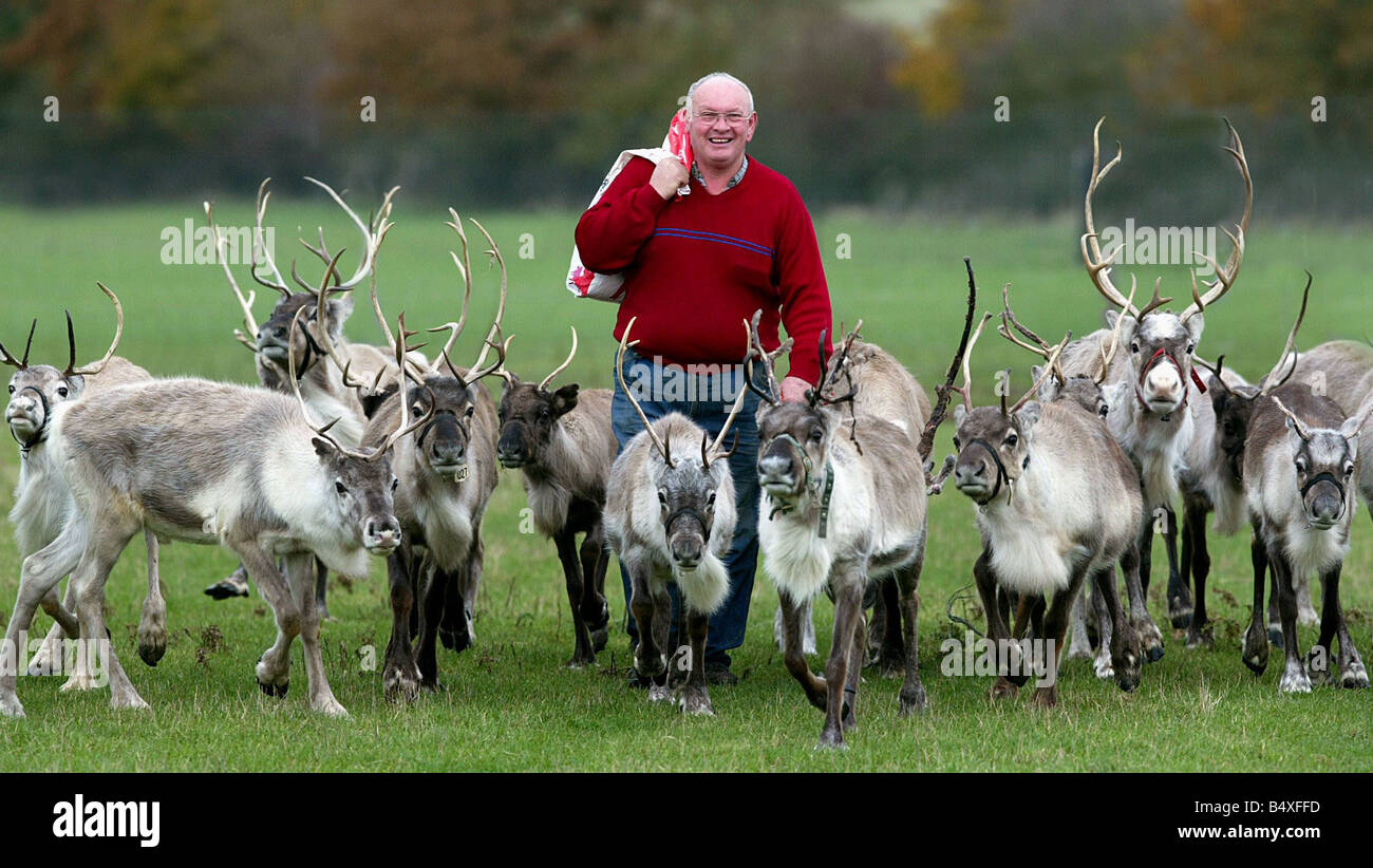 Kent Reindeer farmer Mike Fagg prepares for the festive season here the ...