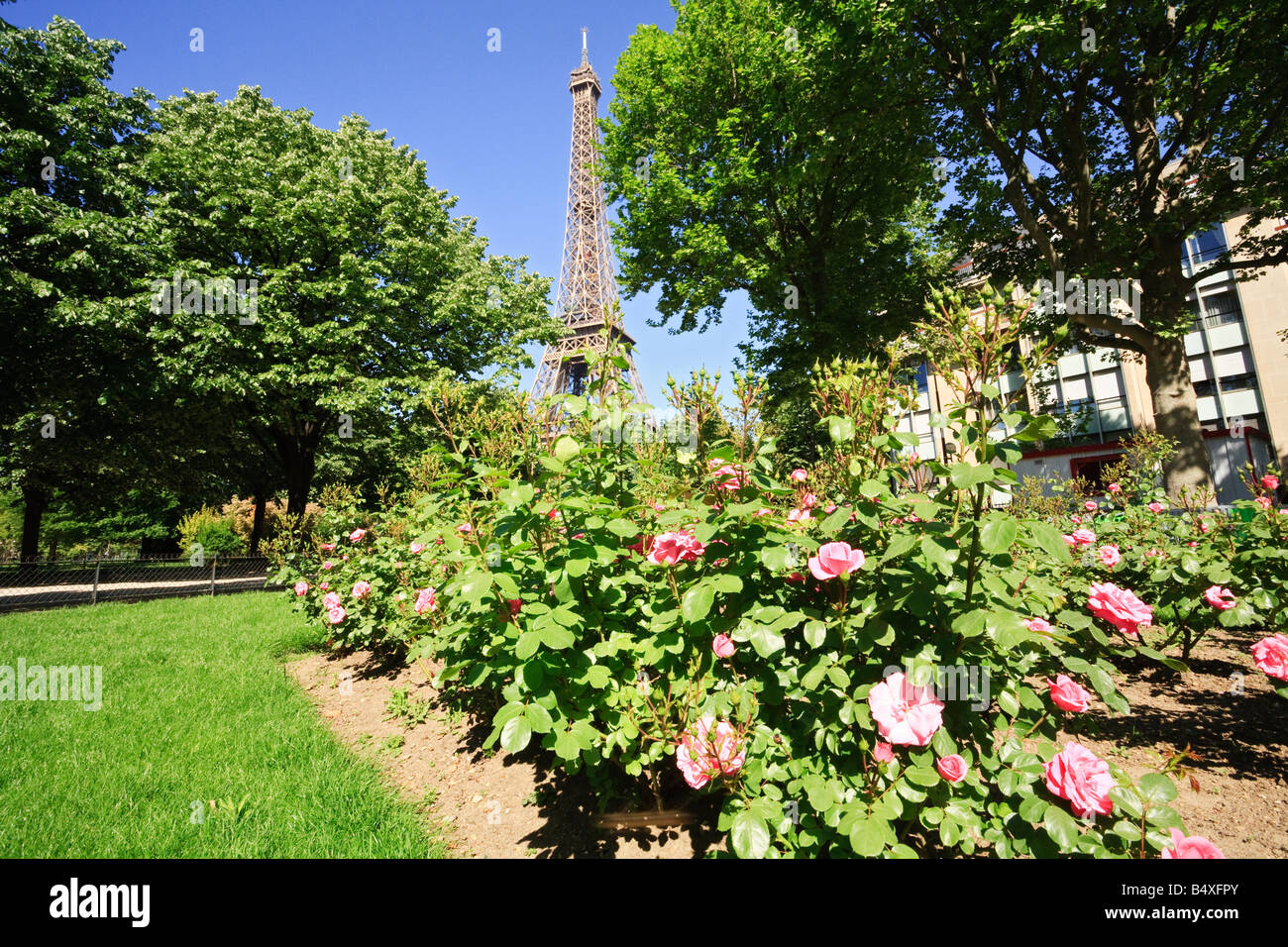 the Eiffel Tower from the Parc du Champ de Mars Paris France Stock ...