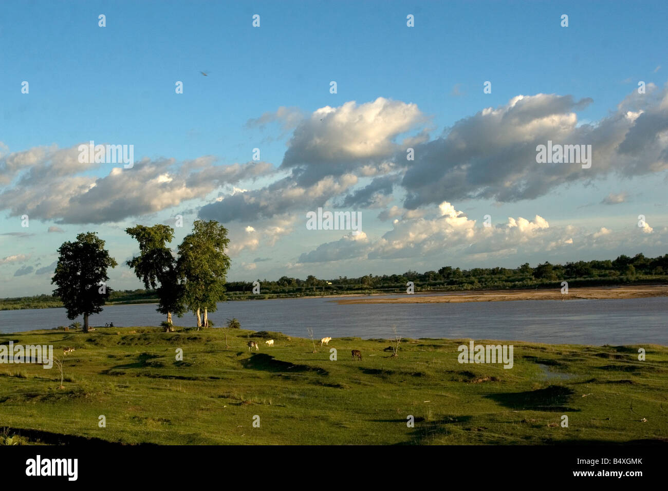 A typical landscape of rural bengal,India Stock Photo - Alamy