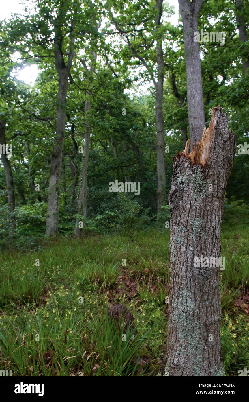 Land damage hi-res stock photography and images - Alamy