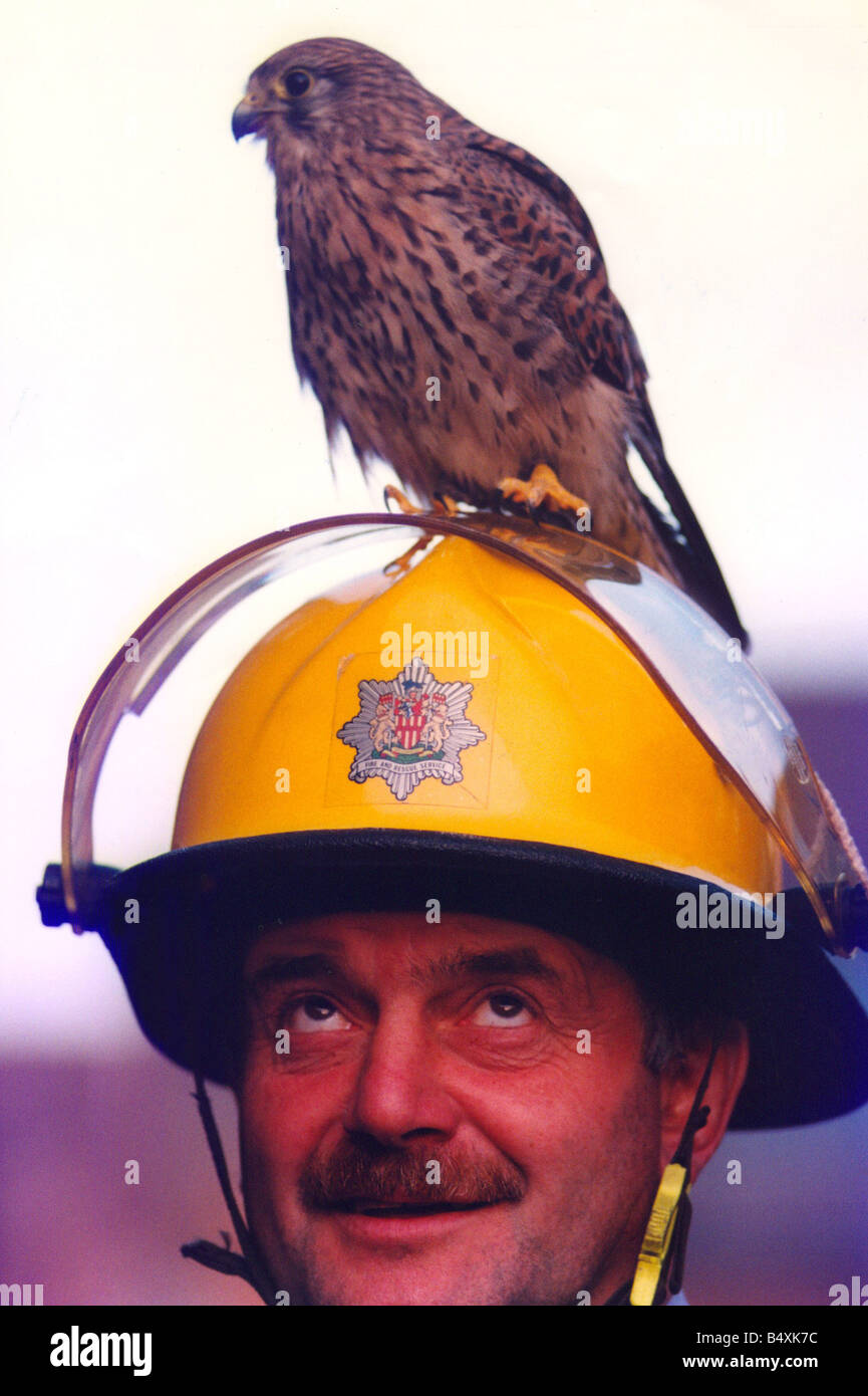 Helmet birds hi-res stock photography and images - Alamy