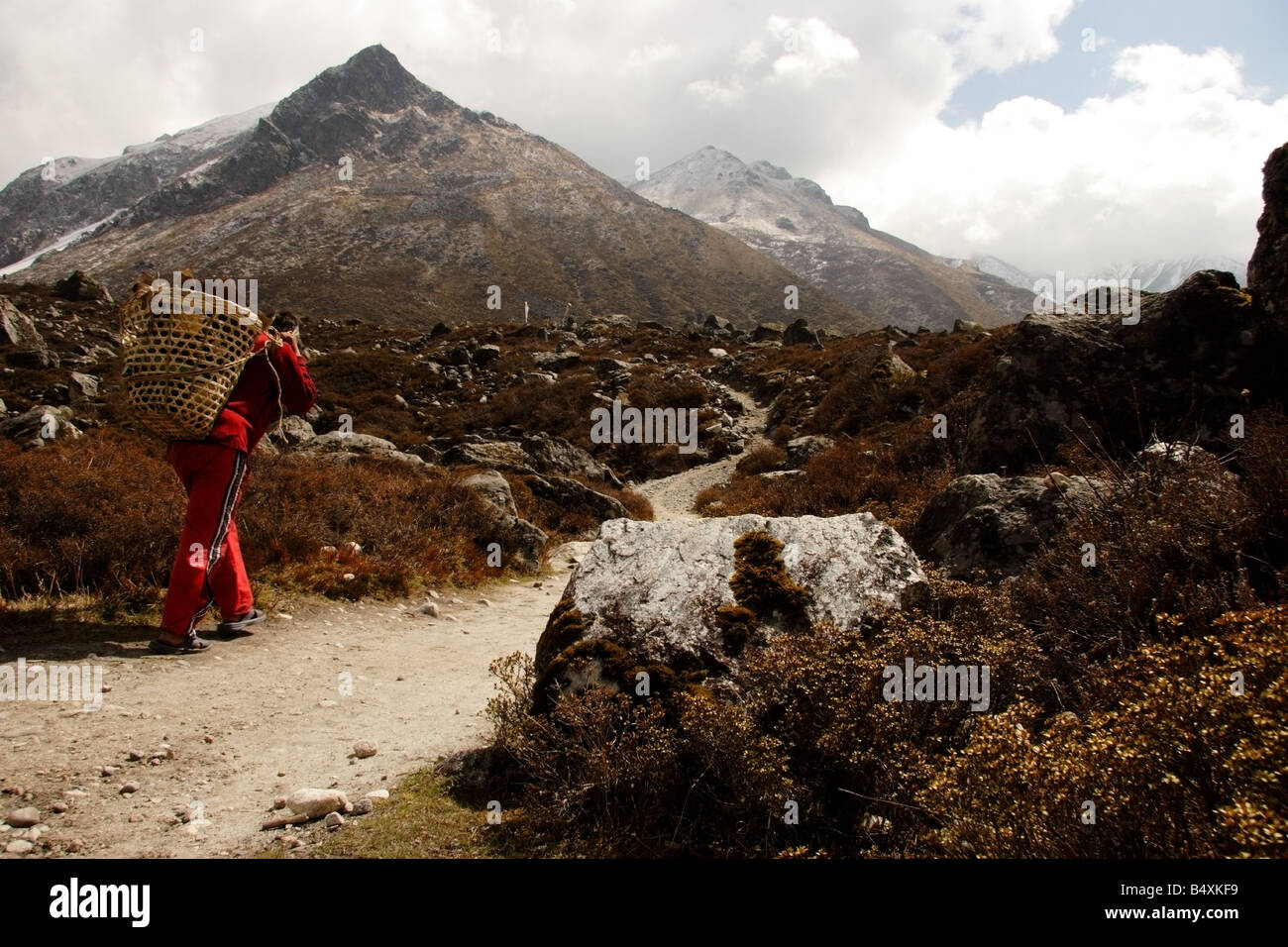Nepalese porter carrying goods in the Langtang Himalayan Mountains ...