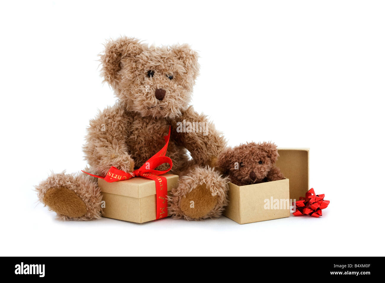 Teddy bear in gift box hi-res stock photography and images - Alamy